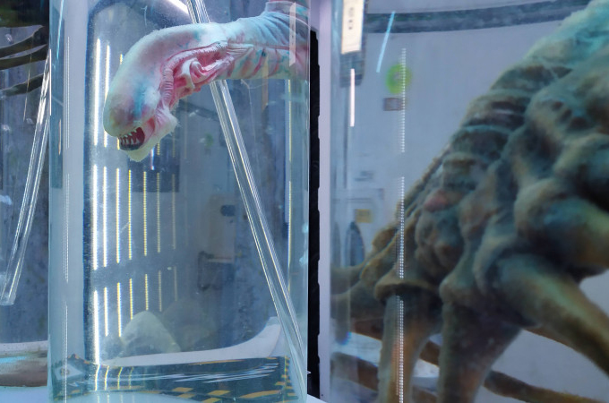 Escape Room in Riga|Latvia