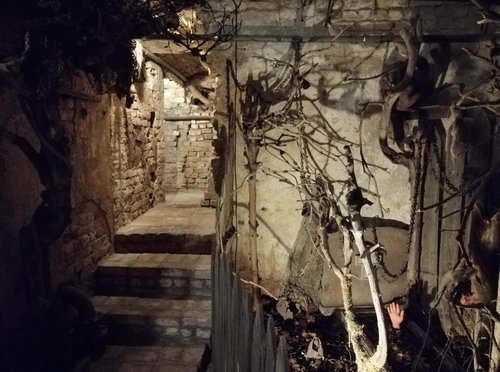 Escape Room in Riga|Latvia